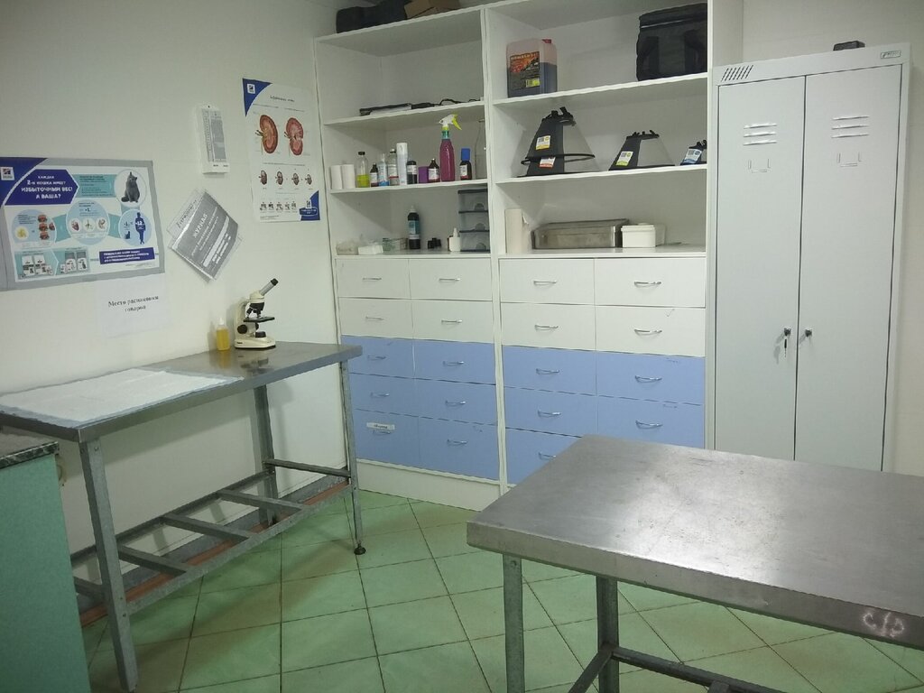 Veteriner klinikleri Биотех, Smolensk, foto