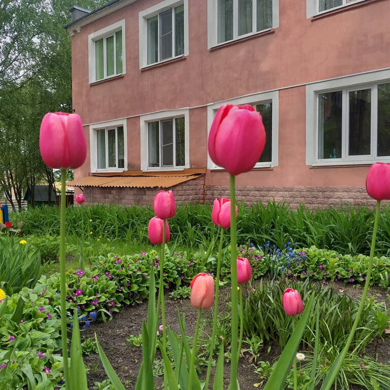 Anaokulları Der. Zhitnevo detsky sad № 33 Gnom, Moskova ve Moskovskaya oblastı, foto