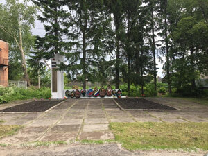 Воинам, погибшим на фронтах Великой Отечественной войны (Tomskiy District, Bogashyovskoye selskoye poseleniye, village Luchanovo, Zavodskaya ulitsa), anıt, heykel  Tomskaya oblastından