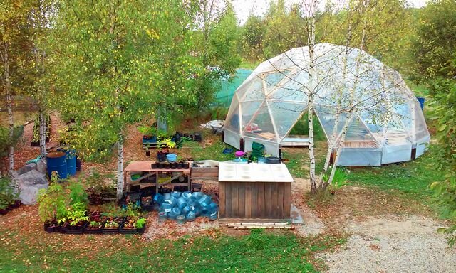 Fidan yetiştiriciliği Nursery-Garden Rodniki, Kalujskaya oblastı, foto
