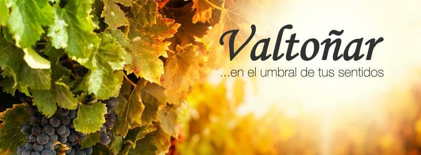 Şarap ve içki toptan satışları Valtoñar Bodega Ribera del Duero, Kastilya ve Leon, foto