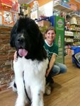 Qua La Zampa (Viale Montegrappa No:8, Lecco), petshop  Lombardiya'dan