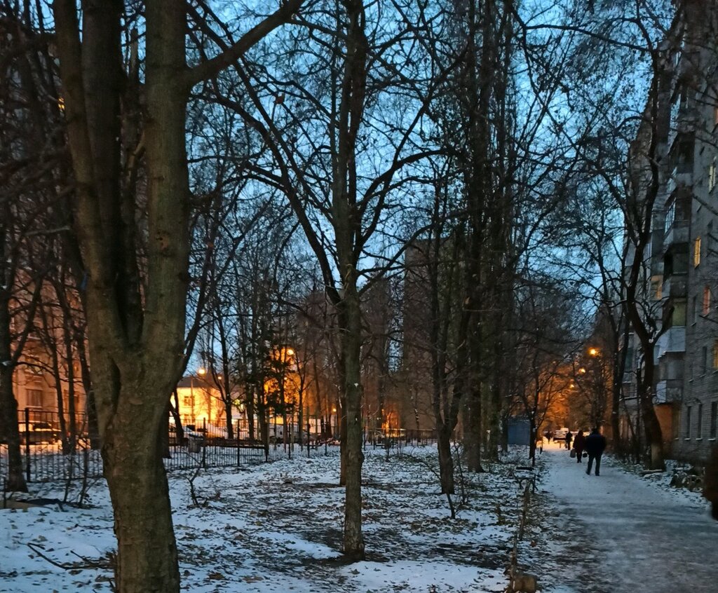 Meydan Бульвар Шишкова, Voronej, foto