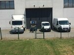 Traslochi Pellegrino Francesco (Piedmont, Provincia di Alessandria, Via Guglielmo Oberdan, 14), evden eve nakliye  Alessandria'dan