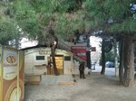 Пекарня (проспект Генерала Острякова No:209В), ekmek fırını  Sevastopol'dan