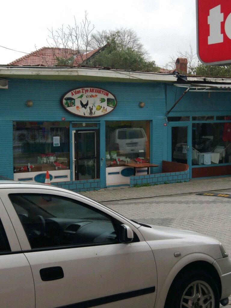 Akvaryumlar Adanzeye Akvaryum, İstanbul, foto