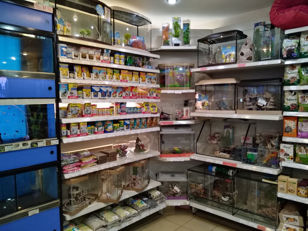 Petshop Zolotaya rybka, Saint‑Petersburg, foto