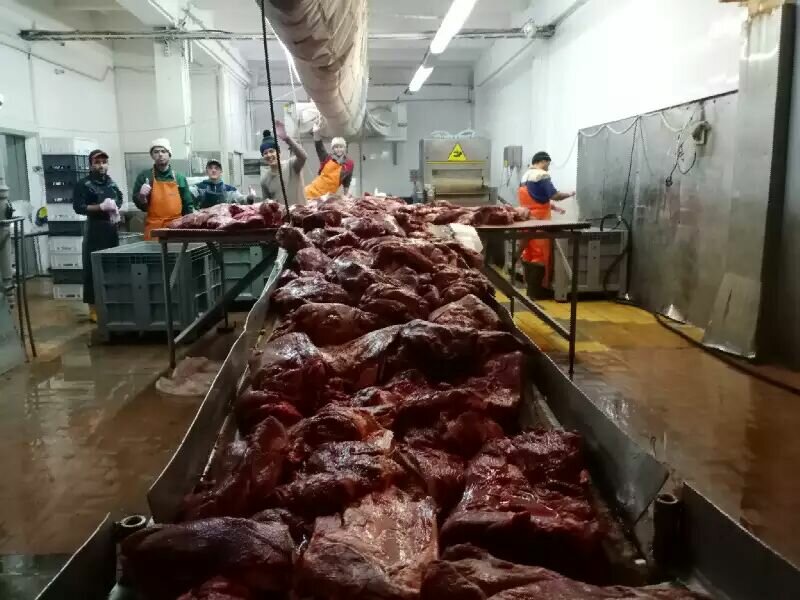 Soğuk hava tesisi Logistichesky tsentr Ikma, Moskova, foto