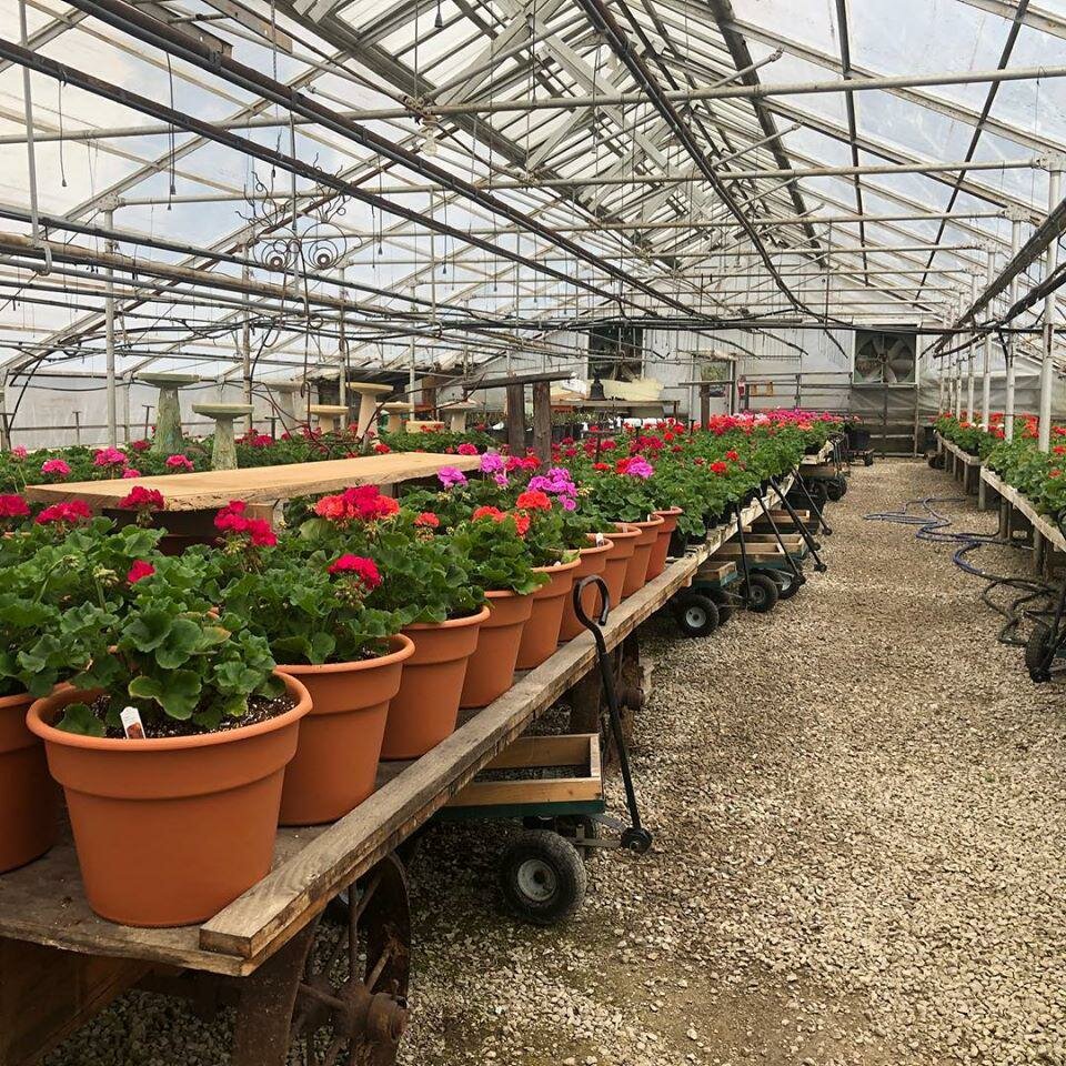 Peyzaj tasarımı Lancaster Greenhouse & New Leaf Market, Ohio Eyaleti, foto