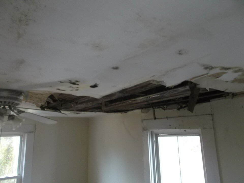 Halı yıkamacılar Servpro of Asheville East, Kuzey Carolina Eyaleti, foto