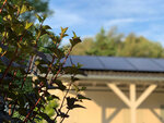 K. W. O. Energiezentrale GmbH (Saxony, Sächsische Schweiz-Osterzgebirge, Talstraße, 18), elektroteknik ürün ve ekipman firmaları  Saksonya'dan