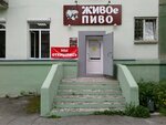 Живое пиво (Pervomayskaya ulitsa No:58), bira dükkanı  Nijni Tagil'den