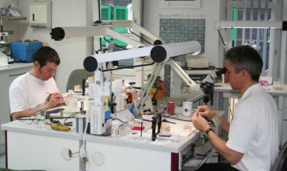 Özel ağız ve diş sağlığı klinikleri ve muayenehaneleri AppleDent, Wuppertal, foto