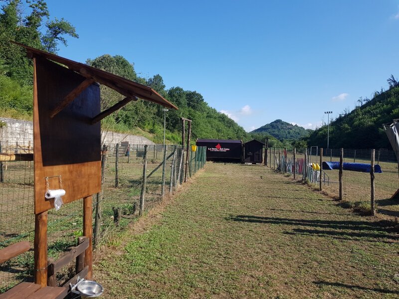 Evcil hayvan yetiştiricileri Centro Cinofilo La Testa del Cane, Campania, foto