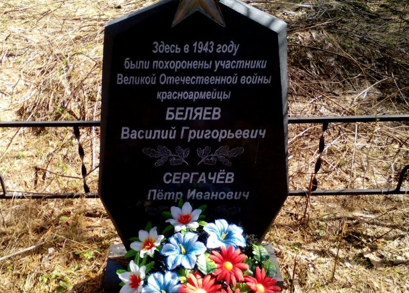 Anıt, heykel Братская могила В.Г. Беляева и П.И. Сергачёва, Vologodskaya oblastı, foto