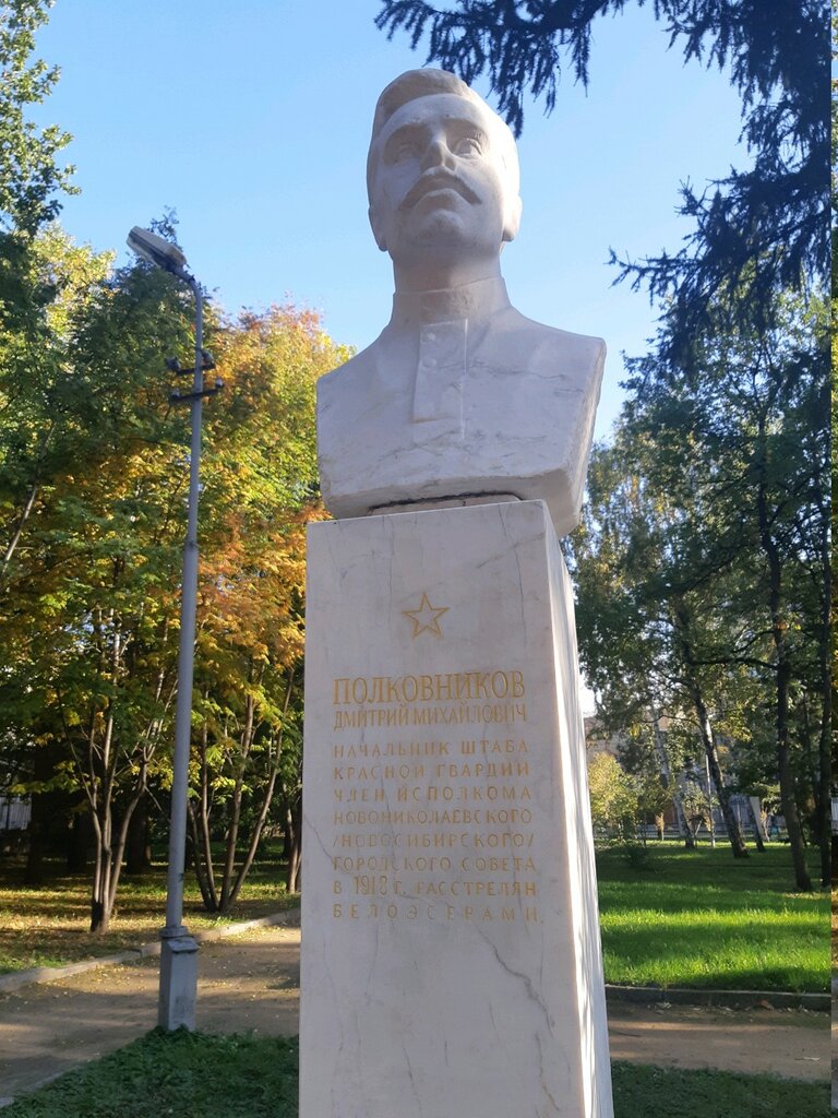 Anıt, heykel Бюст Д.М. Полковникова, Novosibirsk, foto