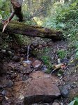Spring, stream (Moscow Region, Sergiyevo-Posadskiy Urban District, Krasnozavodsk), pınar, çay  Krasnozavodsk'tan