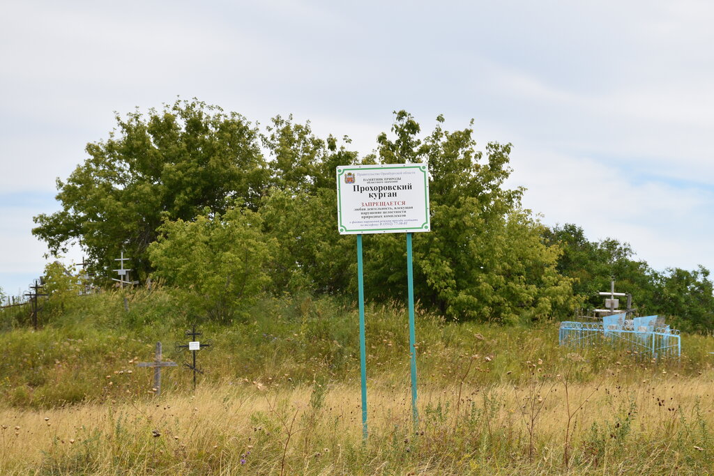 Doğa Прохоровский курган, Orenburgskaya oblastı, foto