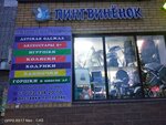 Pingvinyonok (Aleksandr Zasyadko street No:58), çocuk mağazaları  Semey'den