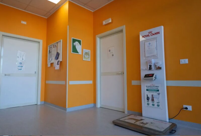 Veteriner klinikleri Ambulatorio Veterinario Fedra, Abruzzo, foto