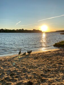 Golden Beach (Leningrad Region, Kingiseppskiy District, Ivangorodskoye gorodskoye poseleniye), plaj  Saint‑Petersburg ve Leningradskaya oblastından