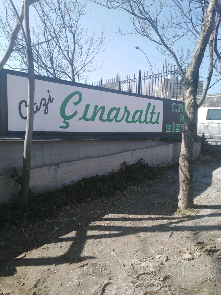 Kafe Çınaraltı Cafe, Ankara, foto