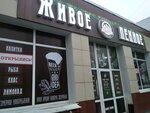 Живое Пенное (Kharkovskaya ulitsa No:24), bira dükkanı  Kursk'tan