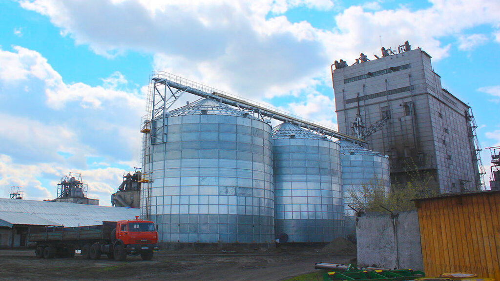 Silo Kytmanovsky elevator, Altayski krayı, foto