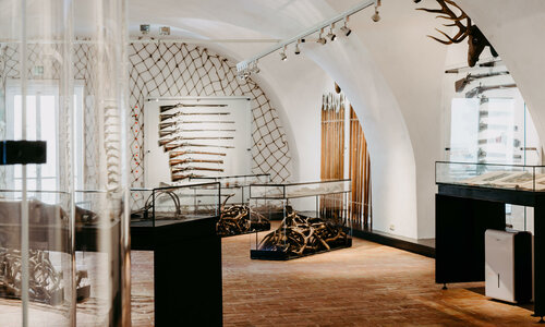 Müzeler ve sanat galerileri Museum Schloss Lackenbach, Dünya, foto