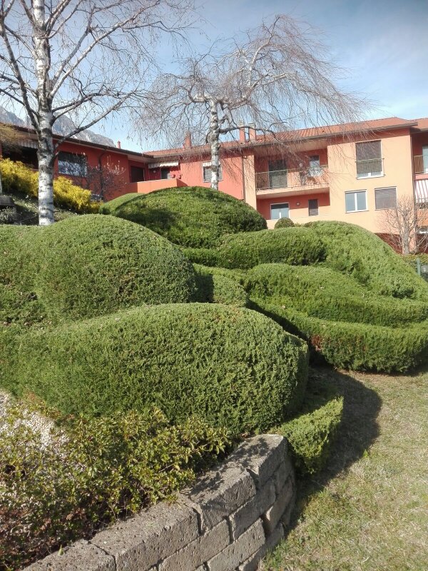 Peyzaj tasarımı Cantele Giancarlo - Giardiniere, Lombardiya, foto
