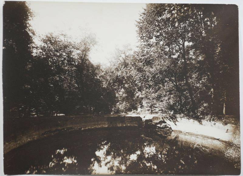 Doğa Зубриловский водоем, Penzenskaya oblastı, foto
