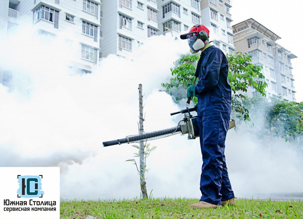 Haşere ilaçlama firmaları Единая Городская Служба Дезинсекции, Soçi, foto