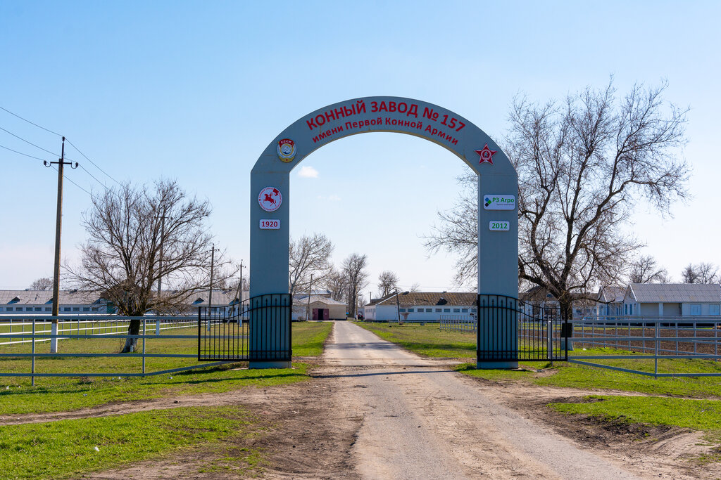 Hayvancılık The stud farm named after the First Horse Army, Rostovskaya oblastı, foto