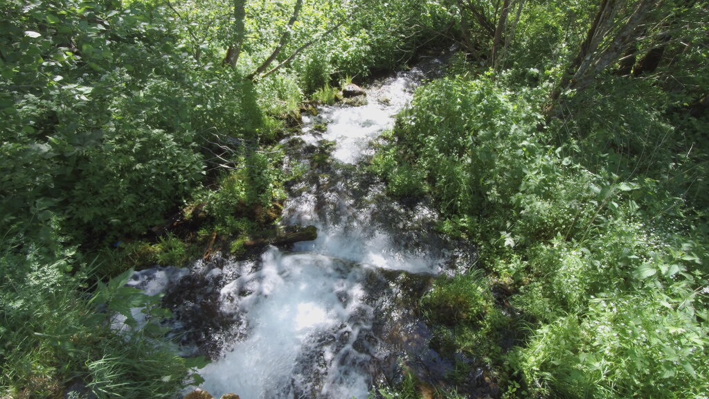 Pınar, çay Spring, stream, Saint‑Petersburg ve Leningradskaya oblastı, foto