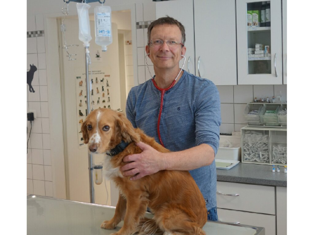 Veteriner klinikleri Dr. Jens Wagneder, Aşağı Avusturya, foto