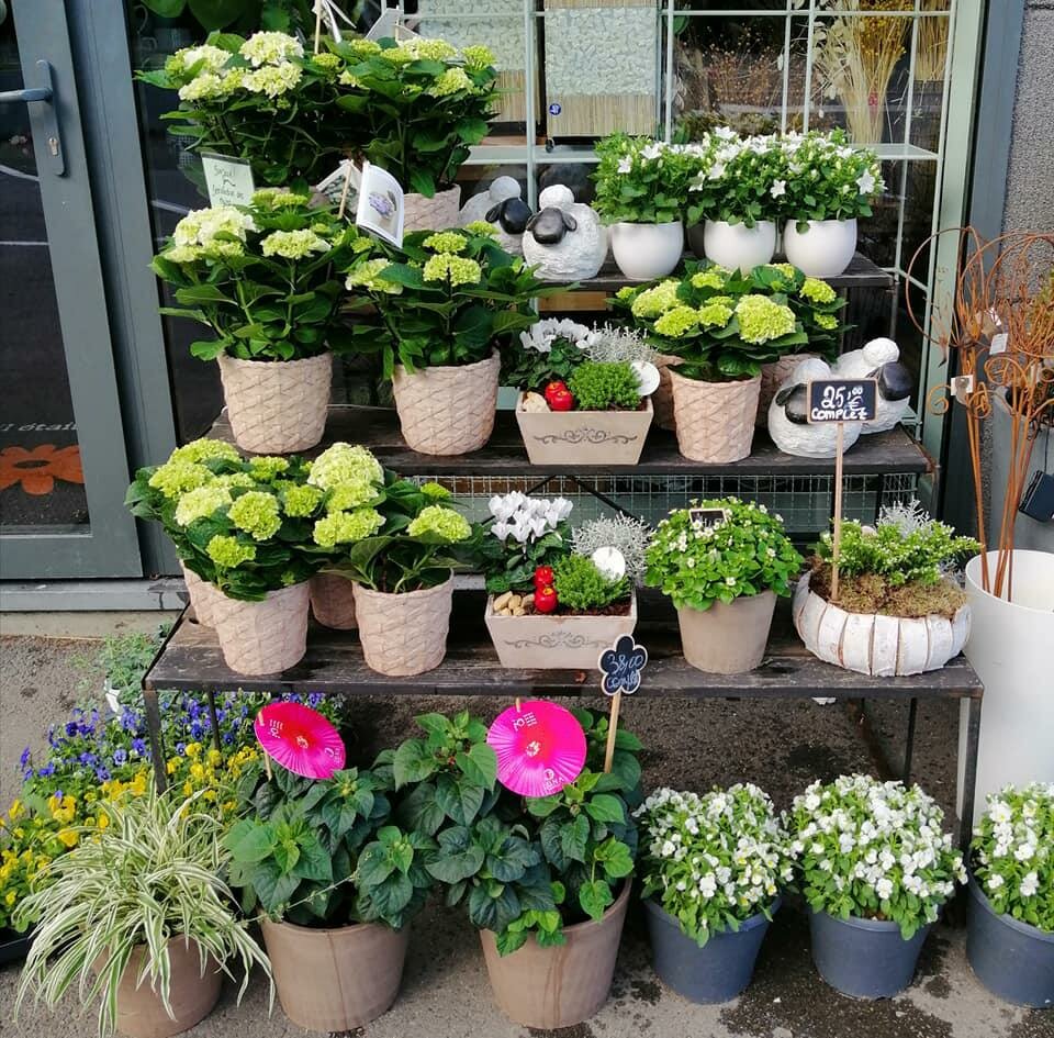 Çiçek teslimatı Il était une fleur, Namur İli, foto