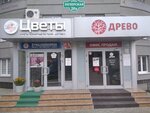 Shestoye Chuvstvo (Pecherskaya ulitsa No:20А), dans okulları  Samara'dan