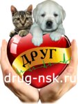 Drug (ulitsa Engelsa No:12, Novosibirsk), veteriner klinikleri  Novosibirsk'ten
