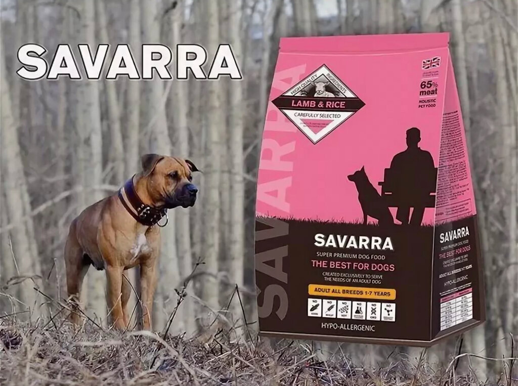 Petshop Mydoctorzoo.ru, Moskova, foto