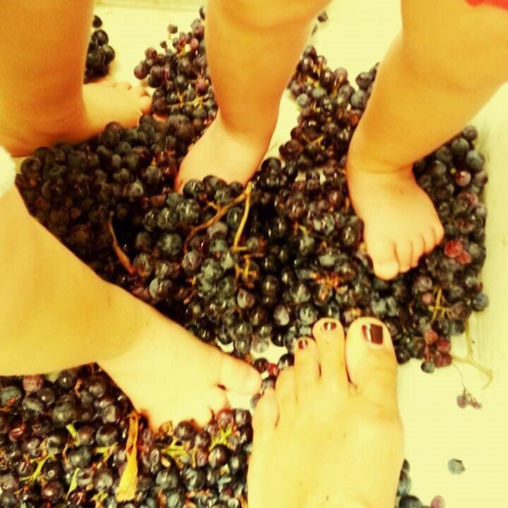 Anaokulları Asilo Nido ''La Barchetta di Carta'', Dünya, foto