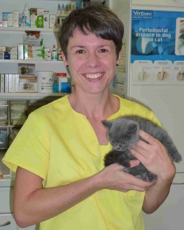 Veteriner klinikleri Kleintierpraxis Gallneukirchen Mag. Katja Fischer-Winkler GpCertFelP, Yukarı Avusturya, foto