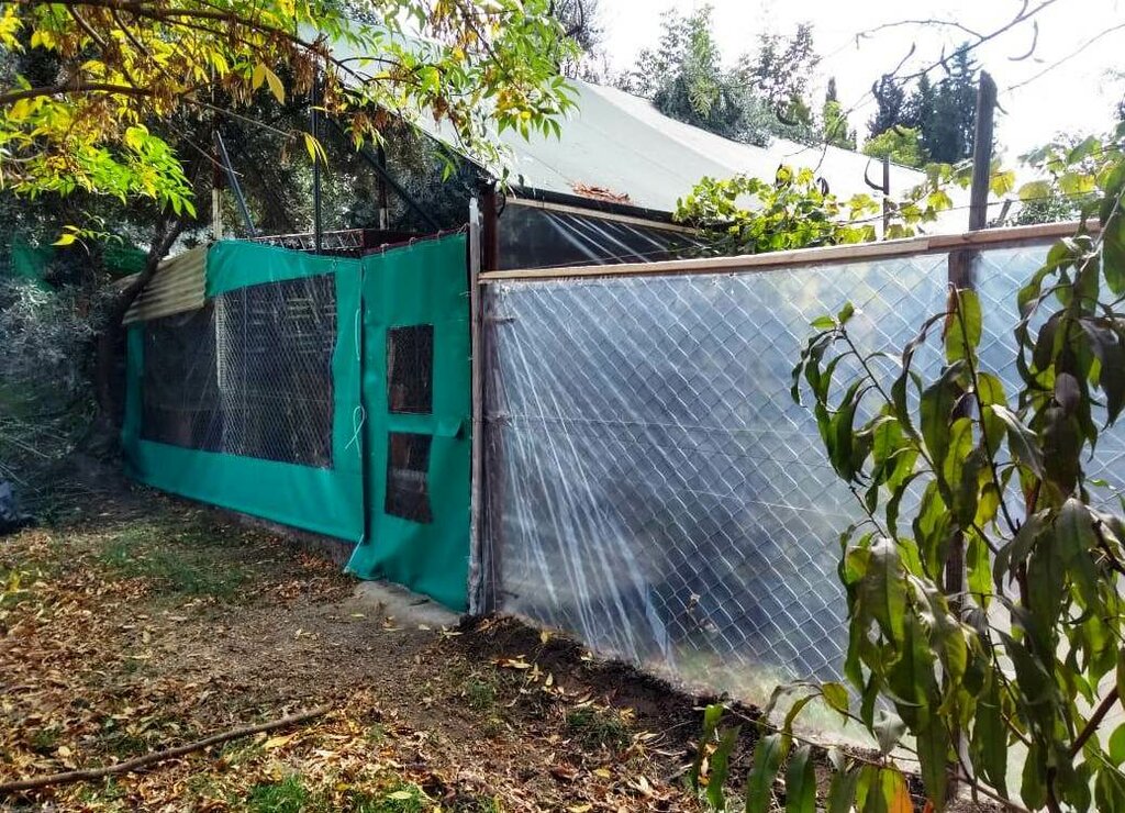 Pet otel Hotel para Mascotas - Finca Familia Acosta, , foto