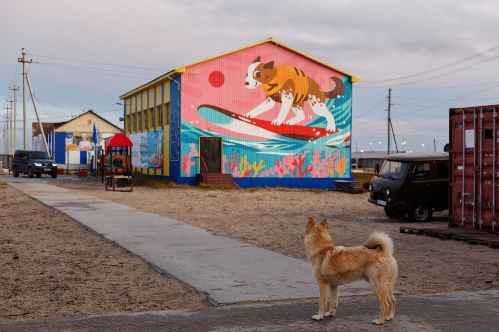 STENOGRAFFIA Псёрфинг, Yamal‑Nenets Özerk Bölgesi, foto