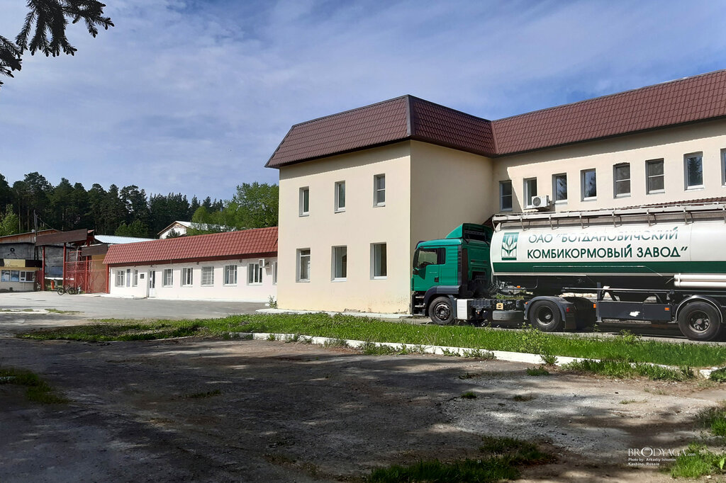 Hayvancılık АО Племенной птицеводческий завод Свердловский, Sverdlovskaya oblastı, foto