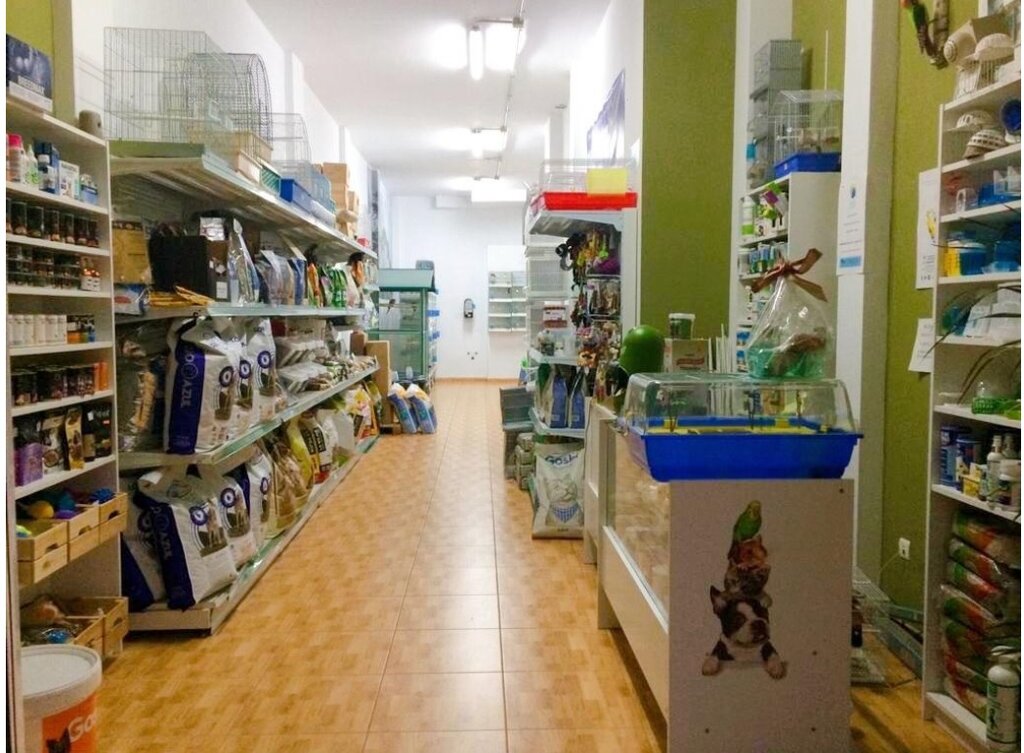 Petshop Orniworld, Kanarya Adaları, foto