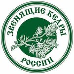 Zvenyashchiye kedry Rossii (Bolshaya Marfinskaya Street No:4к3), sağlık ürünleri firmaları  Moskova'dan
