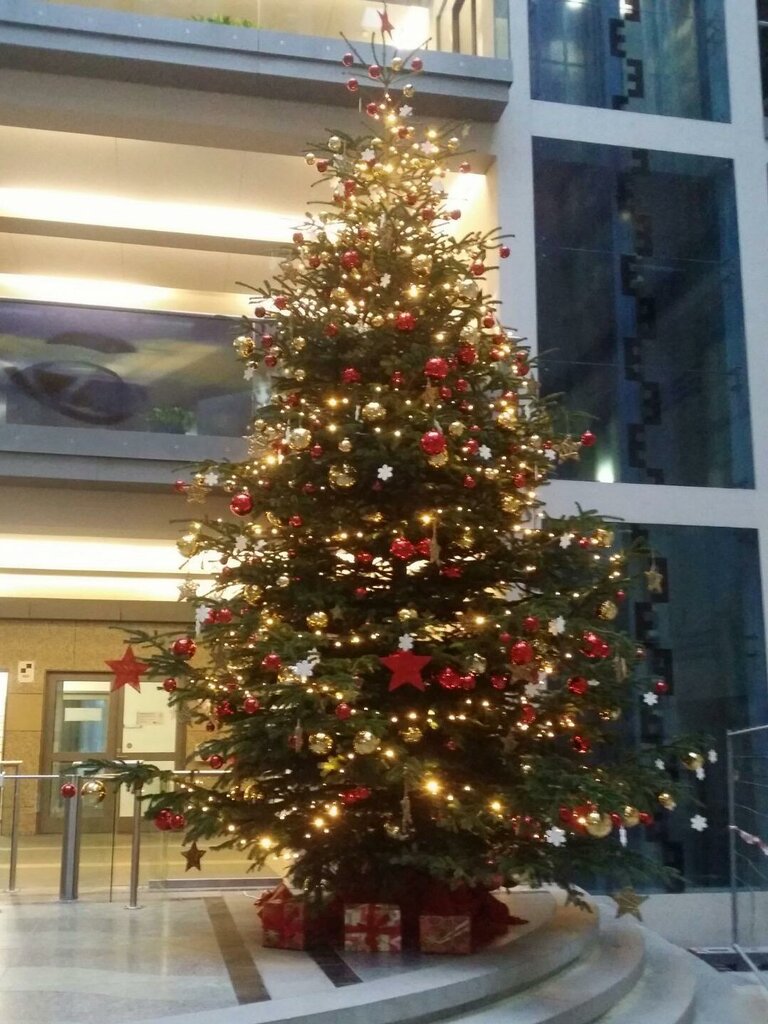 Sera ve bahçe ürünleri Baum & Raum Daniela Hinkelmann, Leipzig, foto