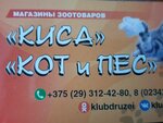 Shop cat and dog (vulica Azalava No:15), petshop  Svetlahorsk'tan