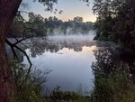 Spring, stream (Moscow Region, Leninskiy City District, Gorki Village, prud Kiselki), pınar, çay  Moskova ve Moskovskaya oblastından
