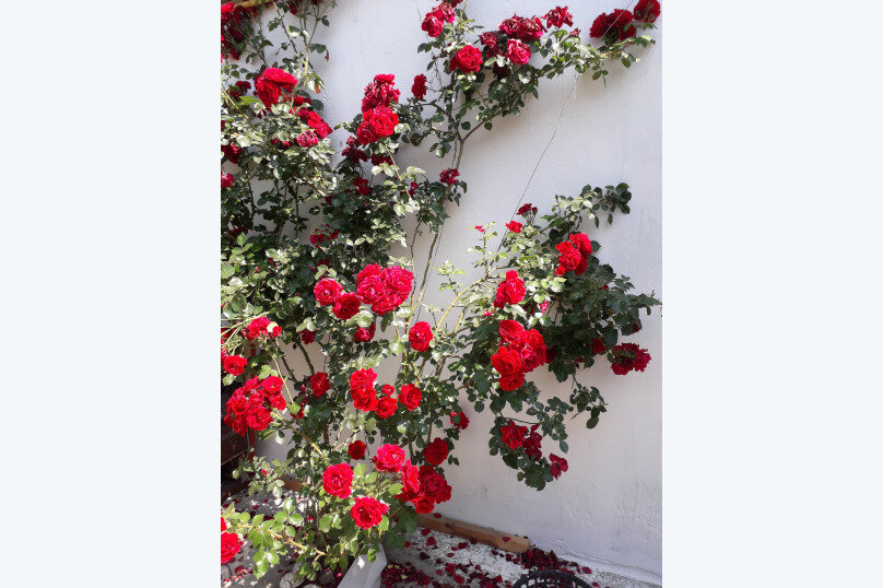 Konuk evi Gostevoi dom Na Komarova 62, Kırım Cumhuriyeti, foto